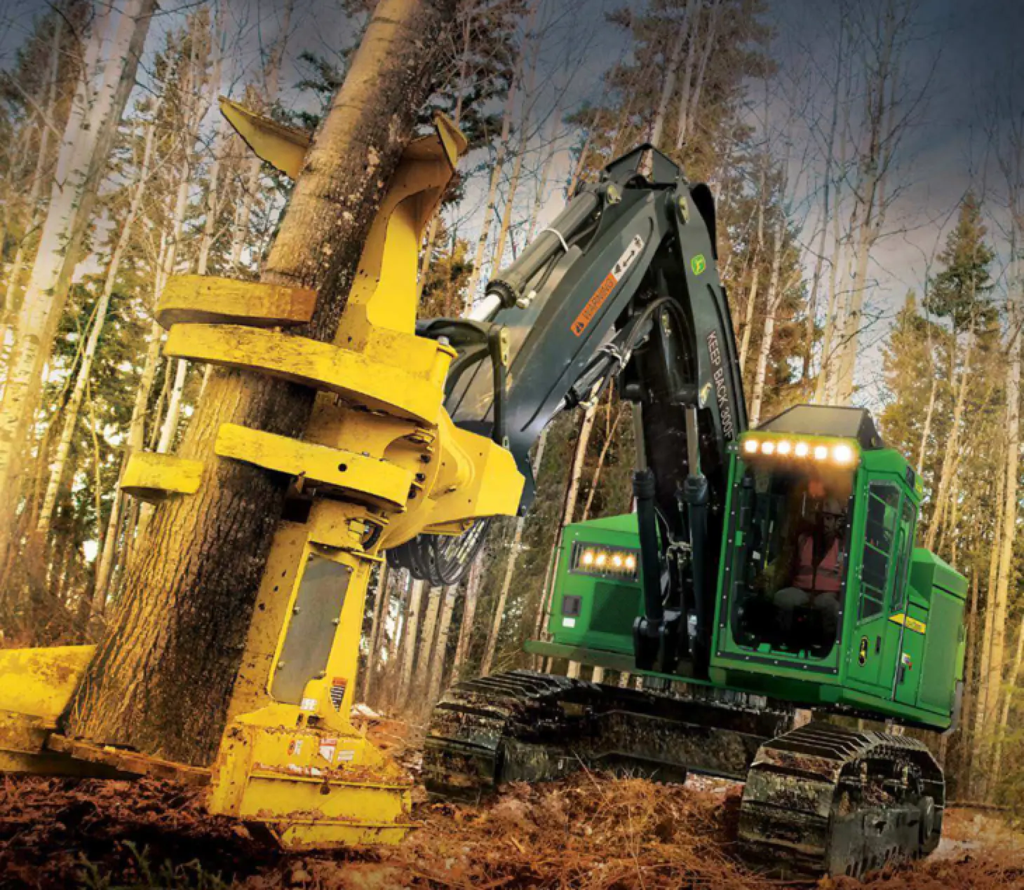 Forestry