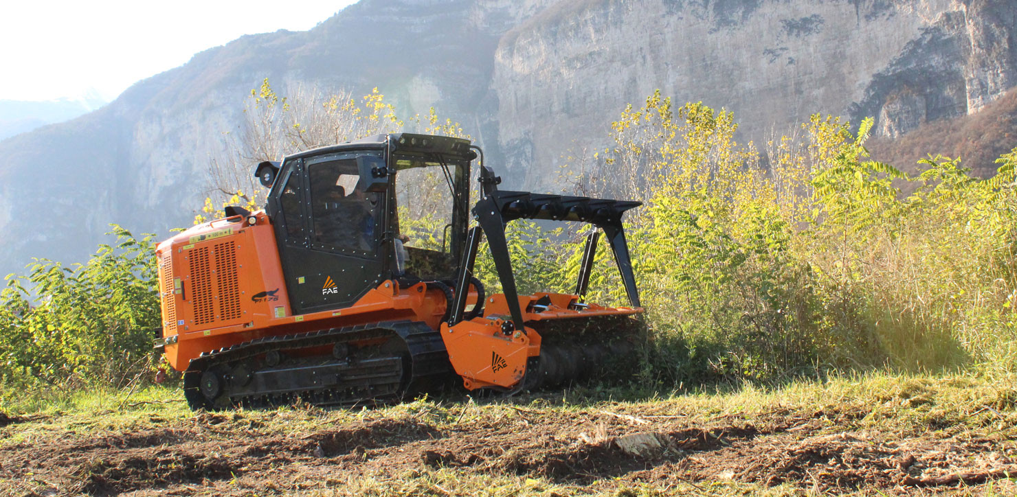 Forestry